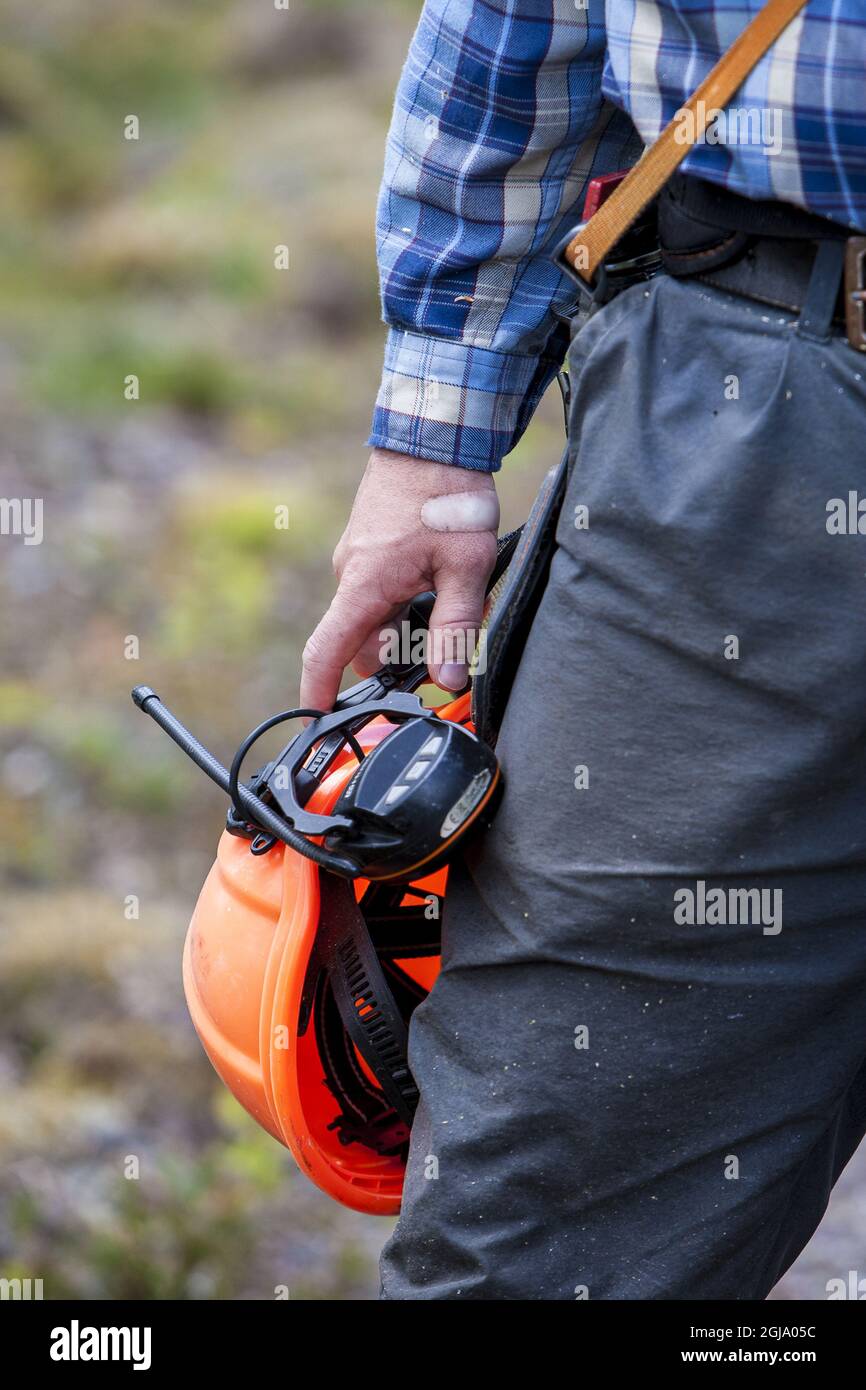 SARNA 2013-06-12 Forestry, woodman, lumberer, lumberman, lumberjack ...