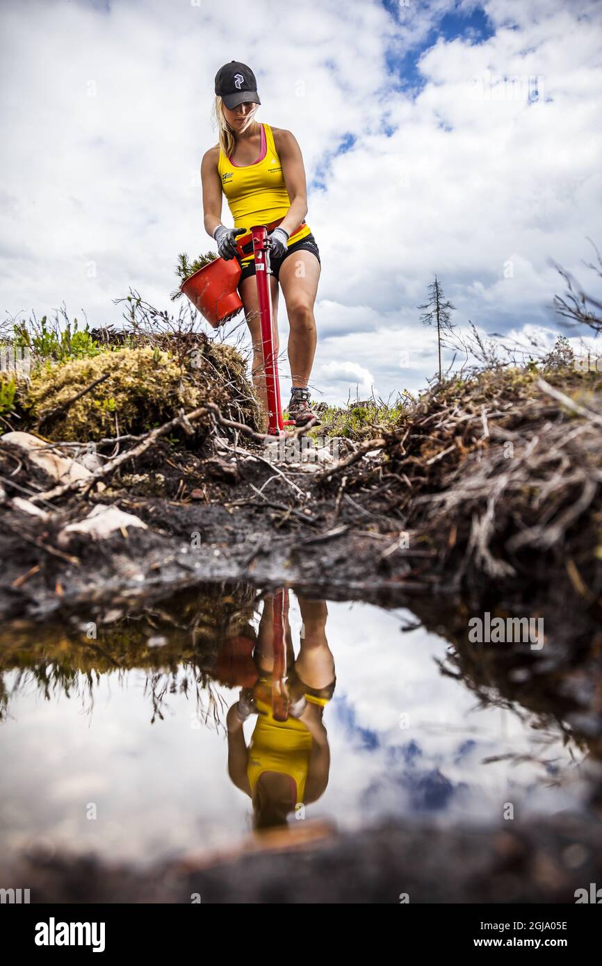 SARNA 2013-06-12 tree planter, clear-felled area, deforestation, booth ...