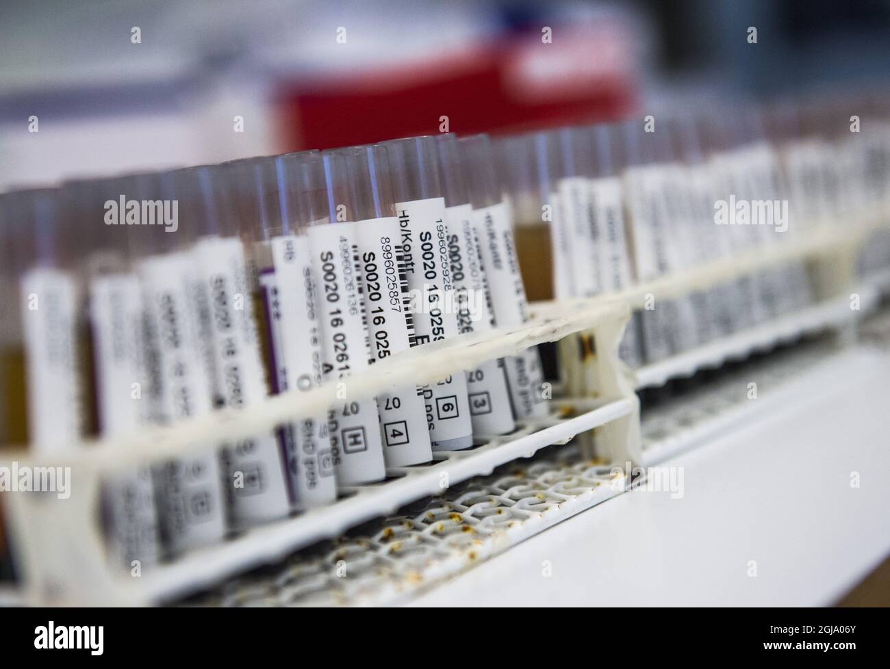 STOCKHOLM 20160406 test tubes with blood and plasma samples at the ...