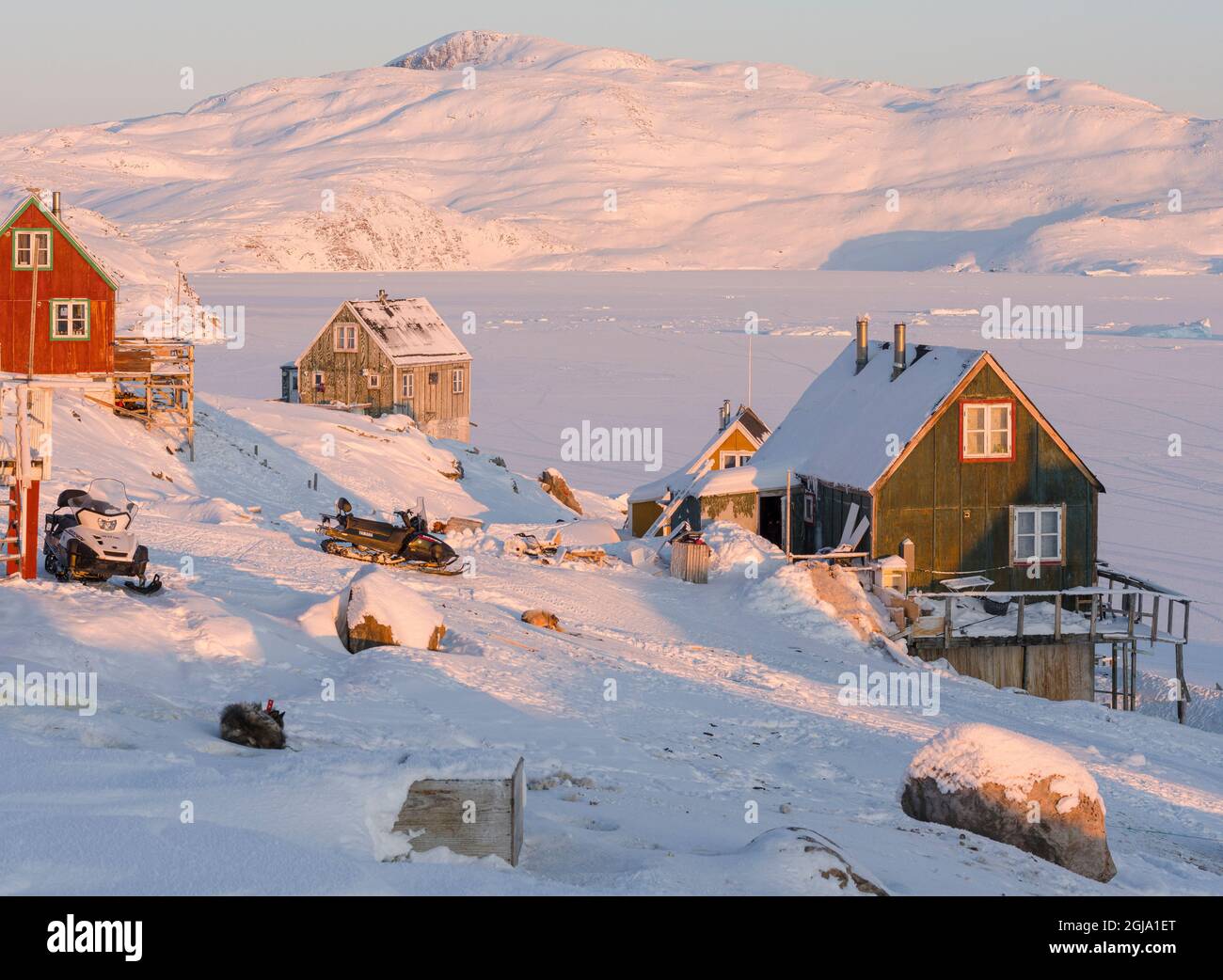 The traditional and remote Greenlandic Inuit village Kullorsuaq located ...