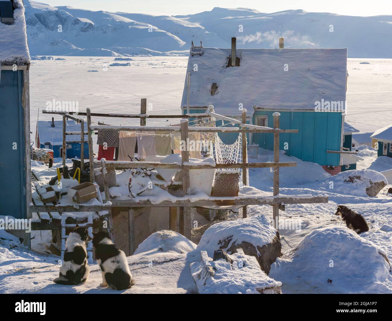 The traditional and remote Greenlandic Inuit village Kullorsuaq located ...