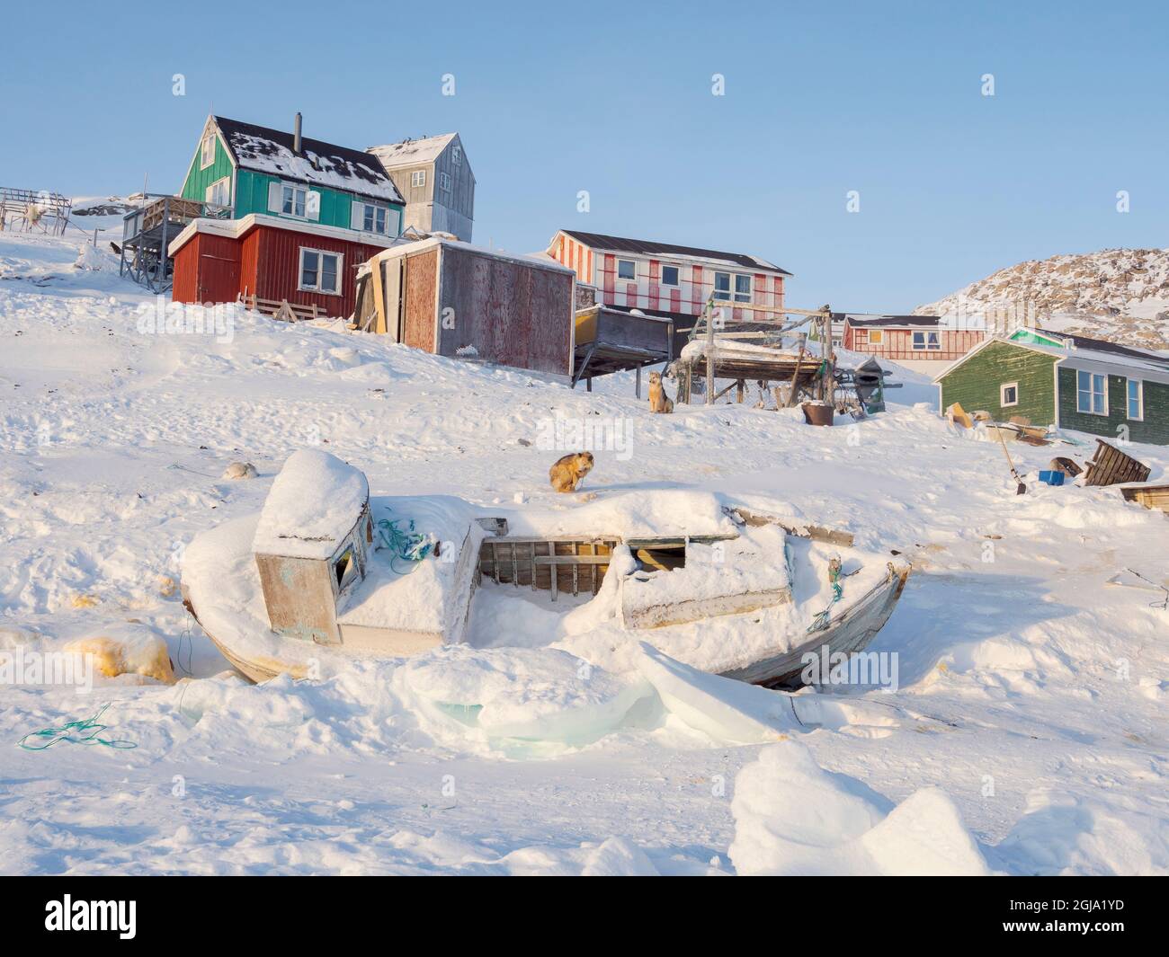 The traditional and remote Greenlandic Inuit village Kullorsuaq located ...