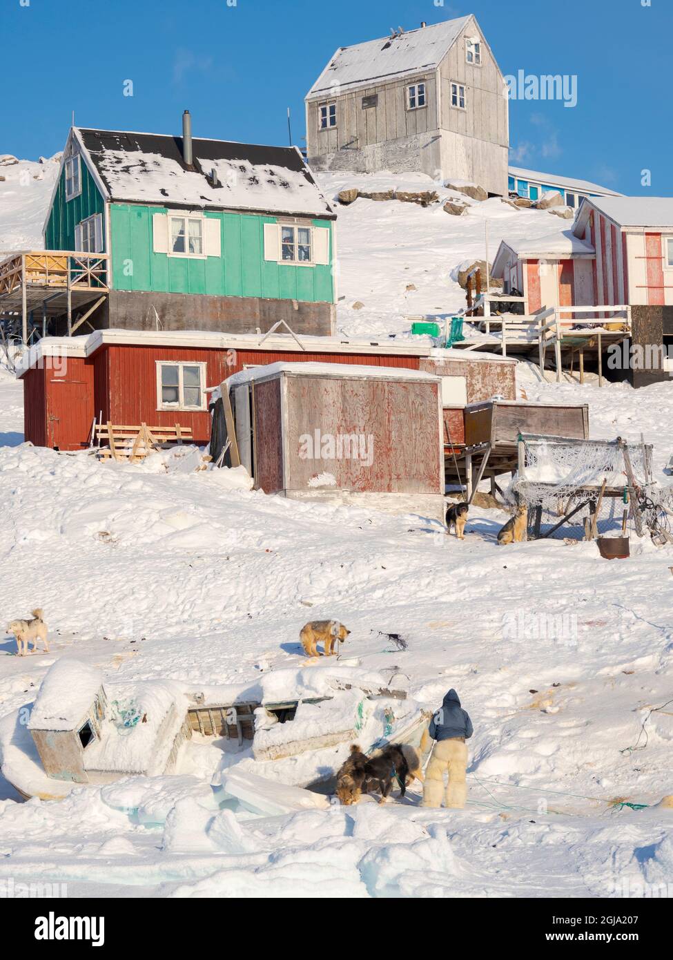 The traditional and remote Greenlandic Inuit village Kullorsuaq located ...