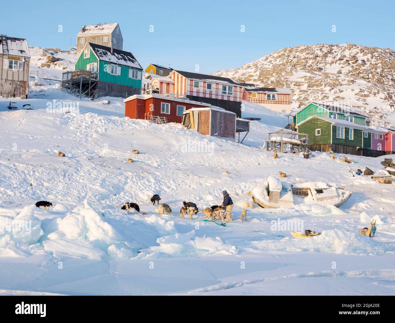 The traditional and remote Greenlandic Inuit village Kullorsuaq located ...
