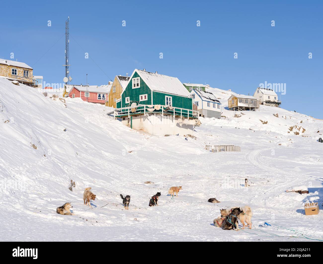 The traditional and remote Greenlandic Inuit village Kullorsuaq located ...