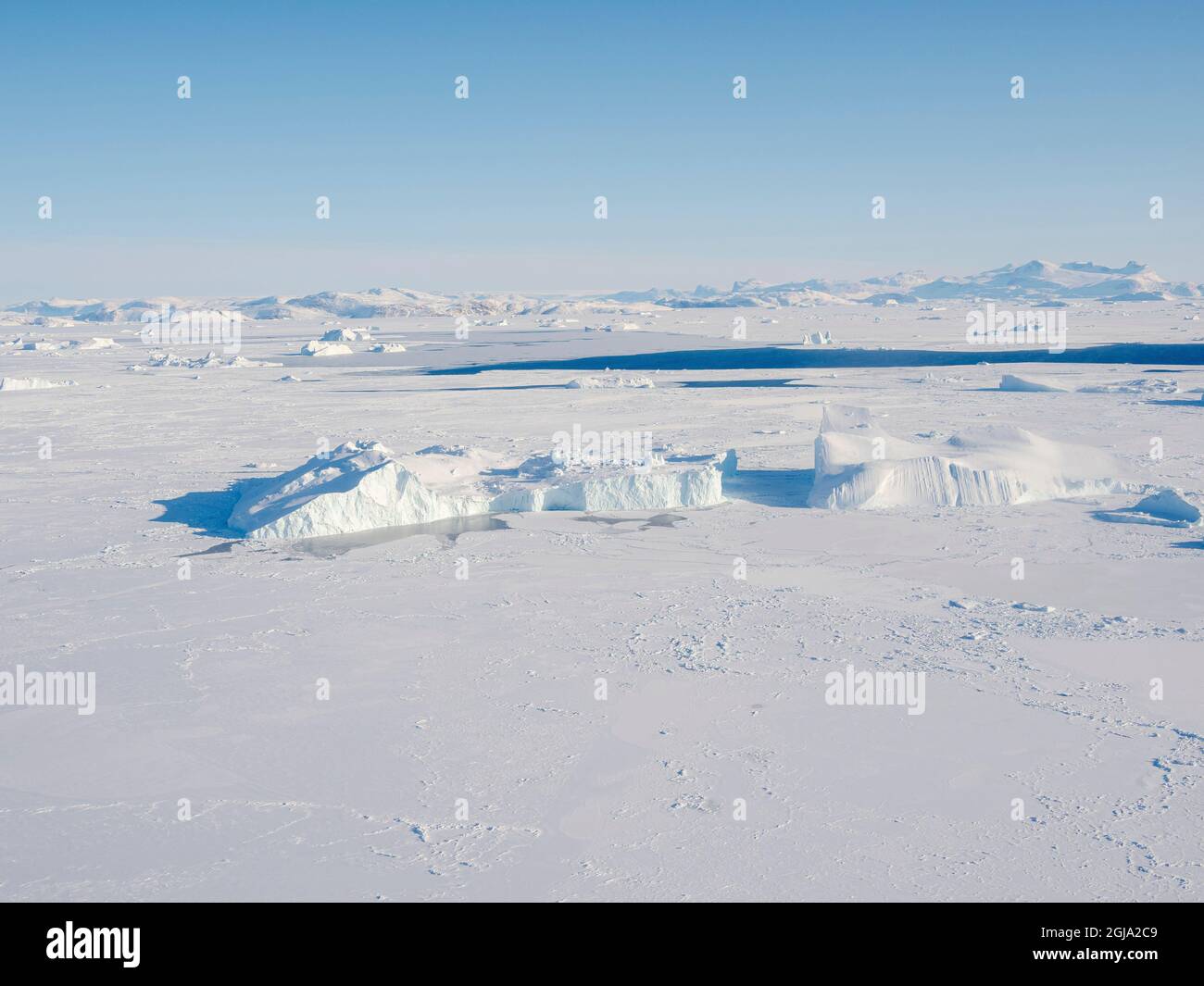 Sea ice with icebergs in the Baffin Bay, between Kullorsuaq and ...