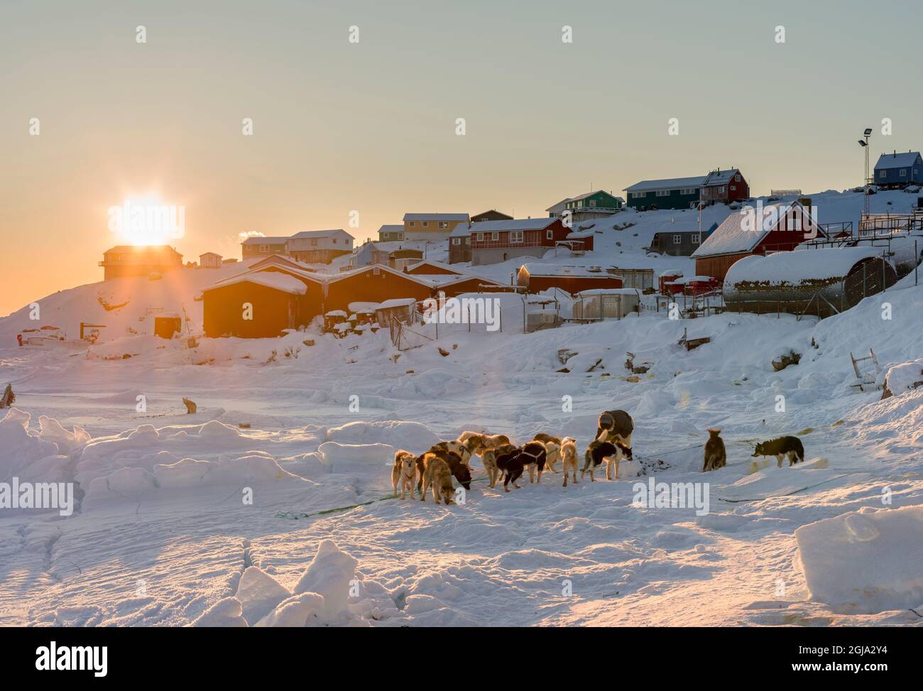Back from the hunt. The traditional and remote Greenlandic Inuit ...