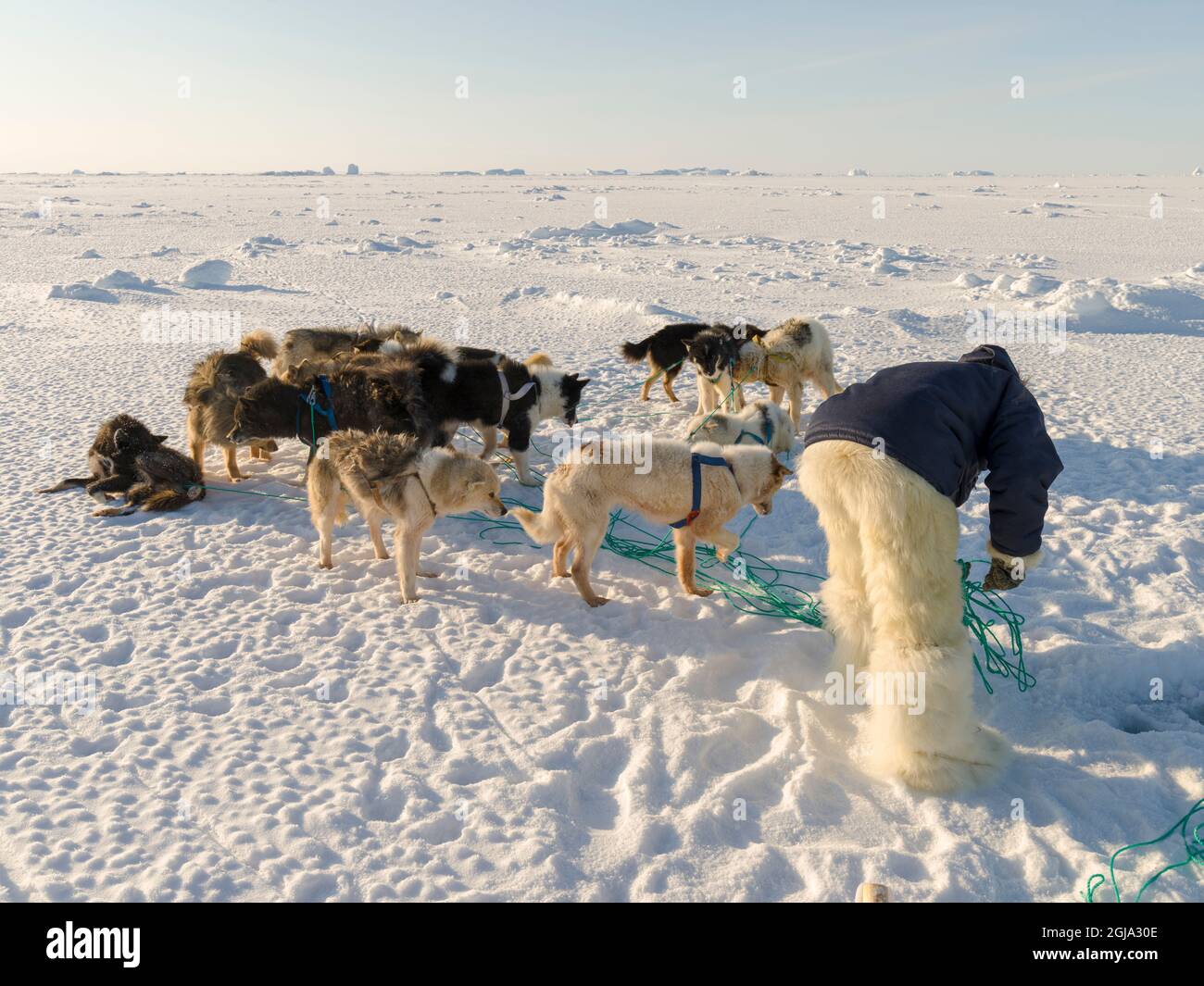Inuit hunter wearing traditional trousers and boots made from polar ...