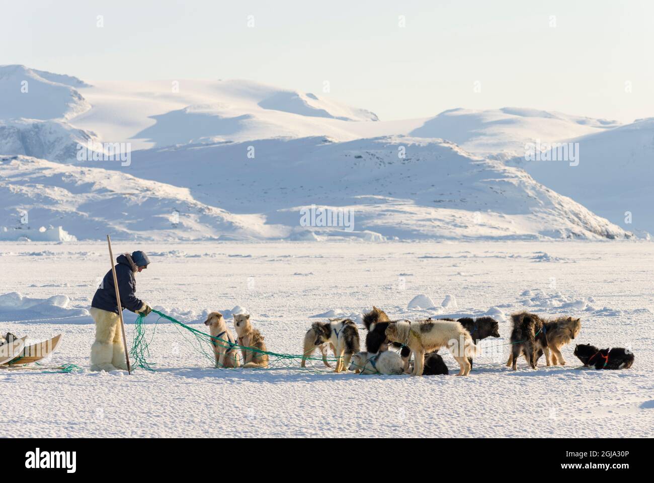 Inuit hunter wearing traditional trousers and boots made from polar ...