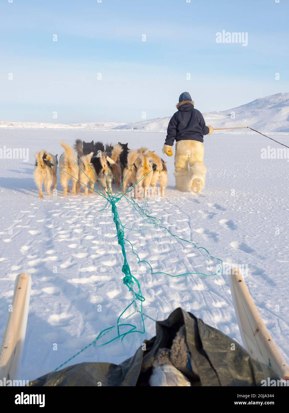 Inuit hunter with his dog sled team hi-res stock photography and images ...