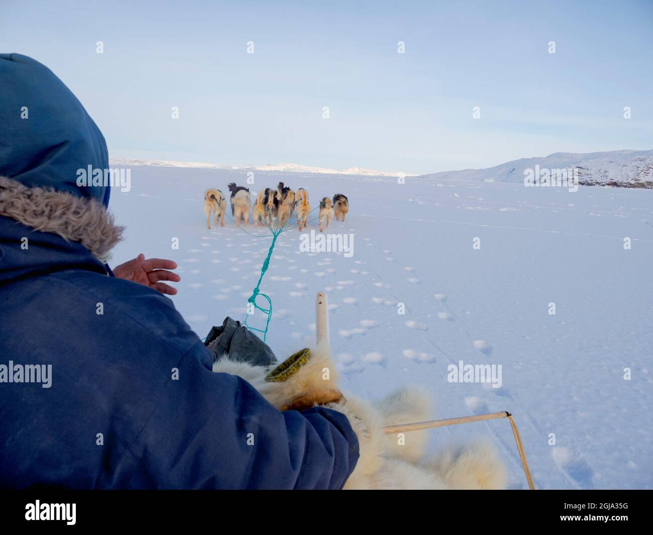 Inuit hunter on dog sled, wearing traditional trousers and boots made ...