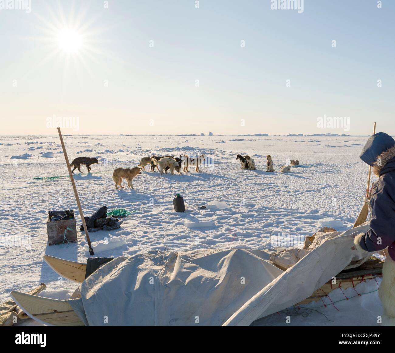 Greenland inuit, tent hi-res stock photography and images - Alamy