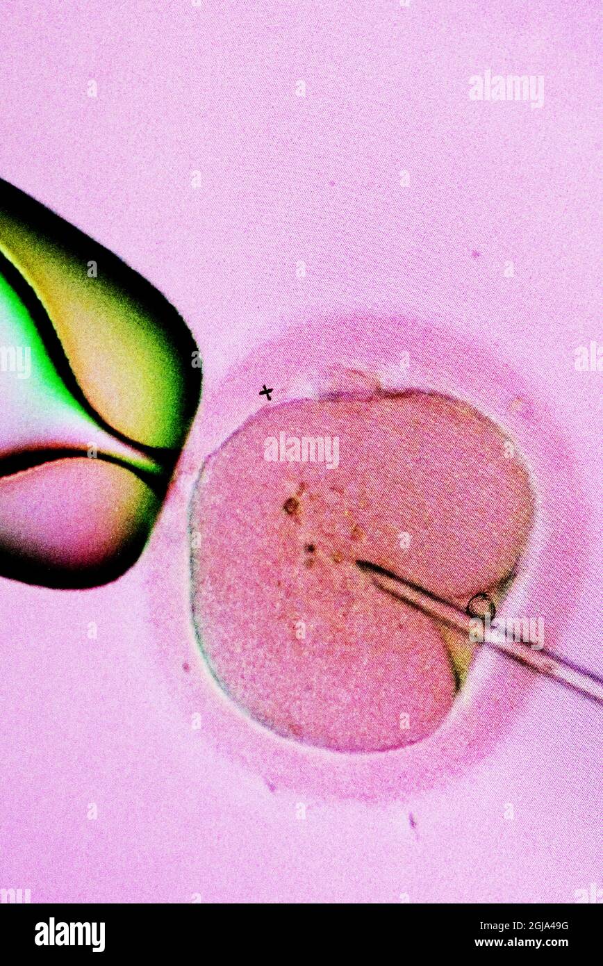 Fertility injection hi-res stock photography and images - Alamy