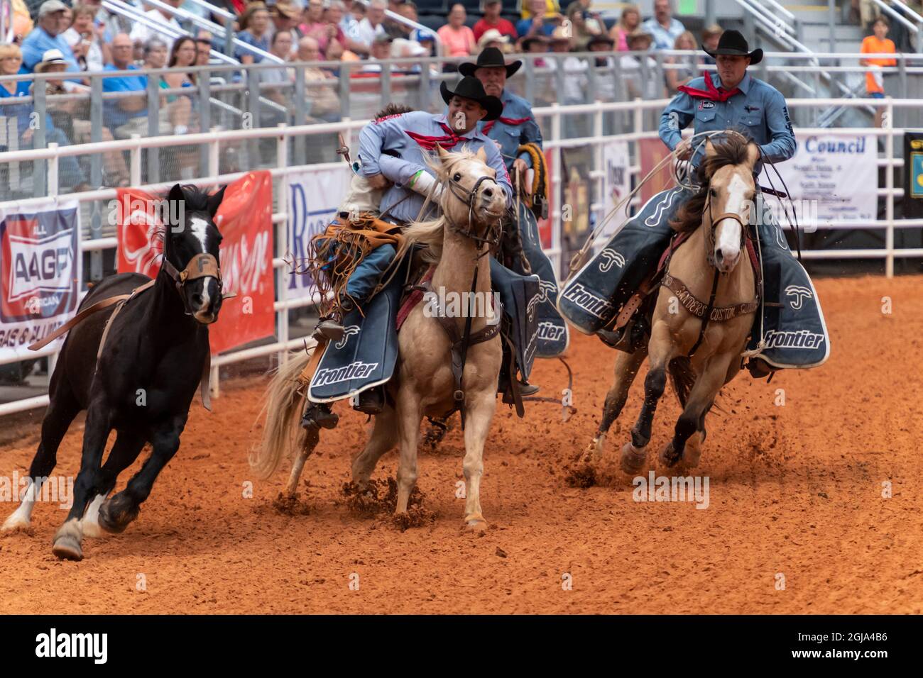 The pickup men catching the bronco bucking rider after his ride ...