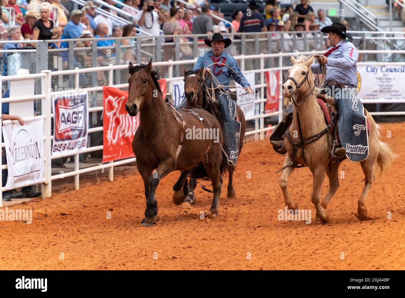 Two men corralling with lasso a horse after bucking competition Stock ...