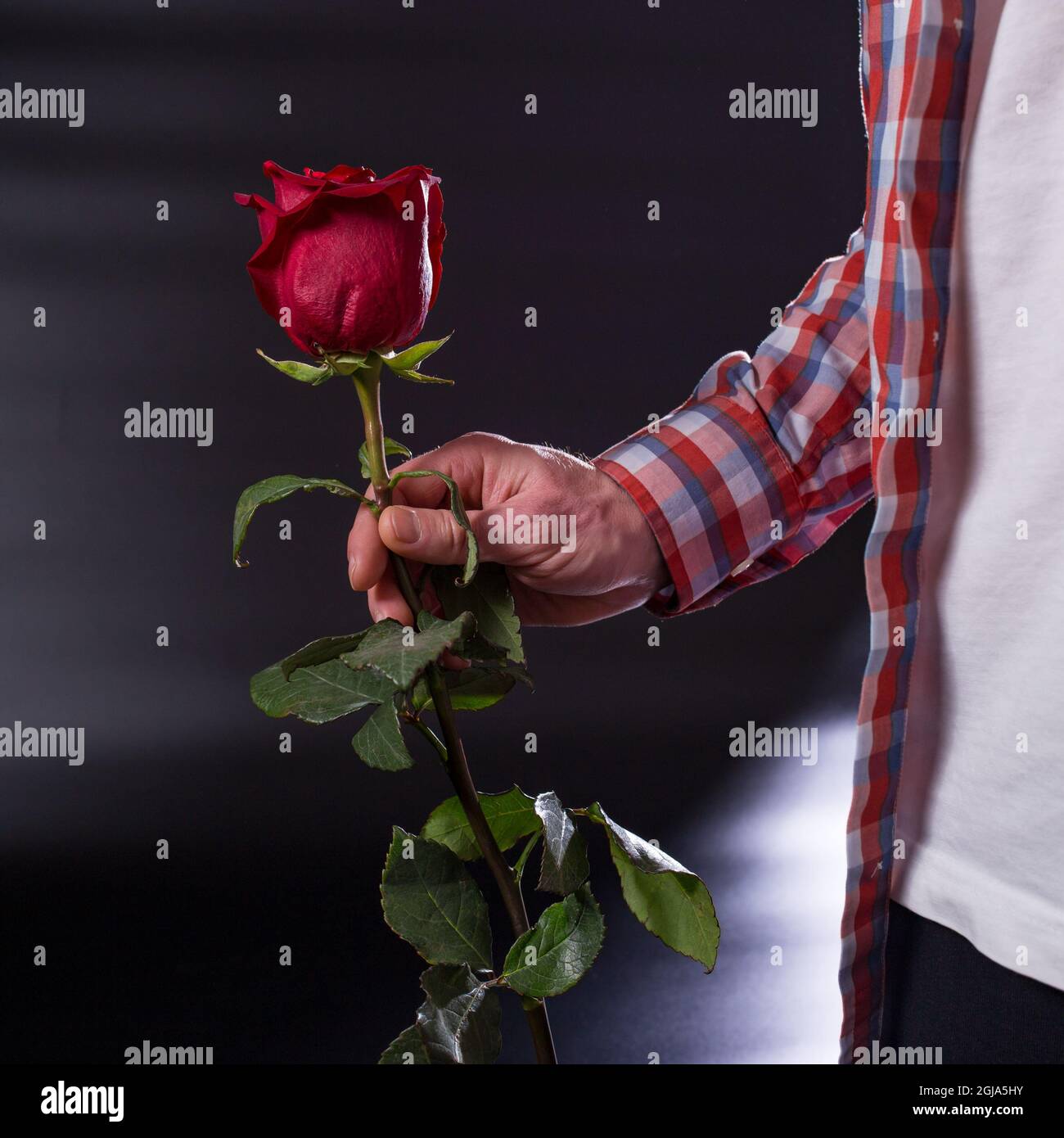 Young guy in plaid hi-res stock photography and images - Alamy