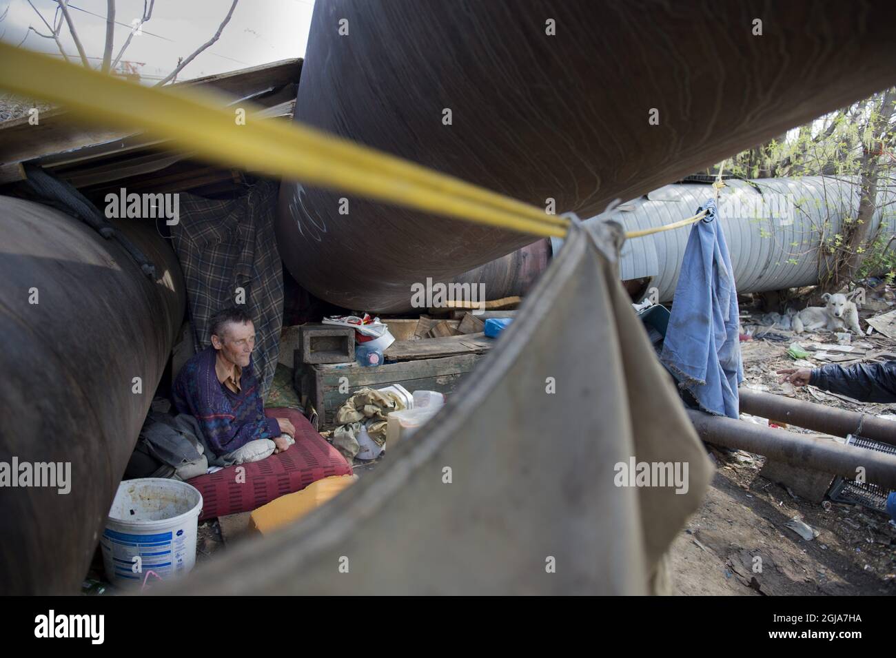 BUKAREST 20140327 Albert Ragovschi, 50 has lost both his legs and is ...