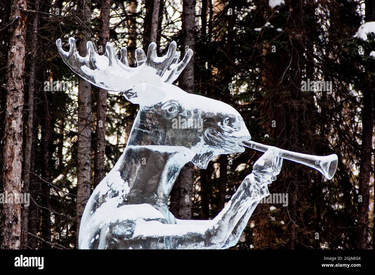 Musical Moose Ice Carving at The Ice Art Championship, Fairbanks ...