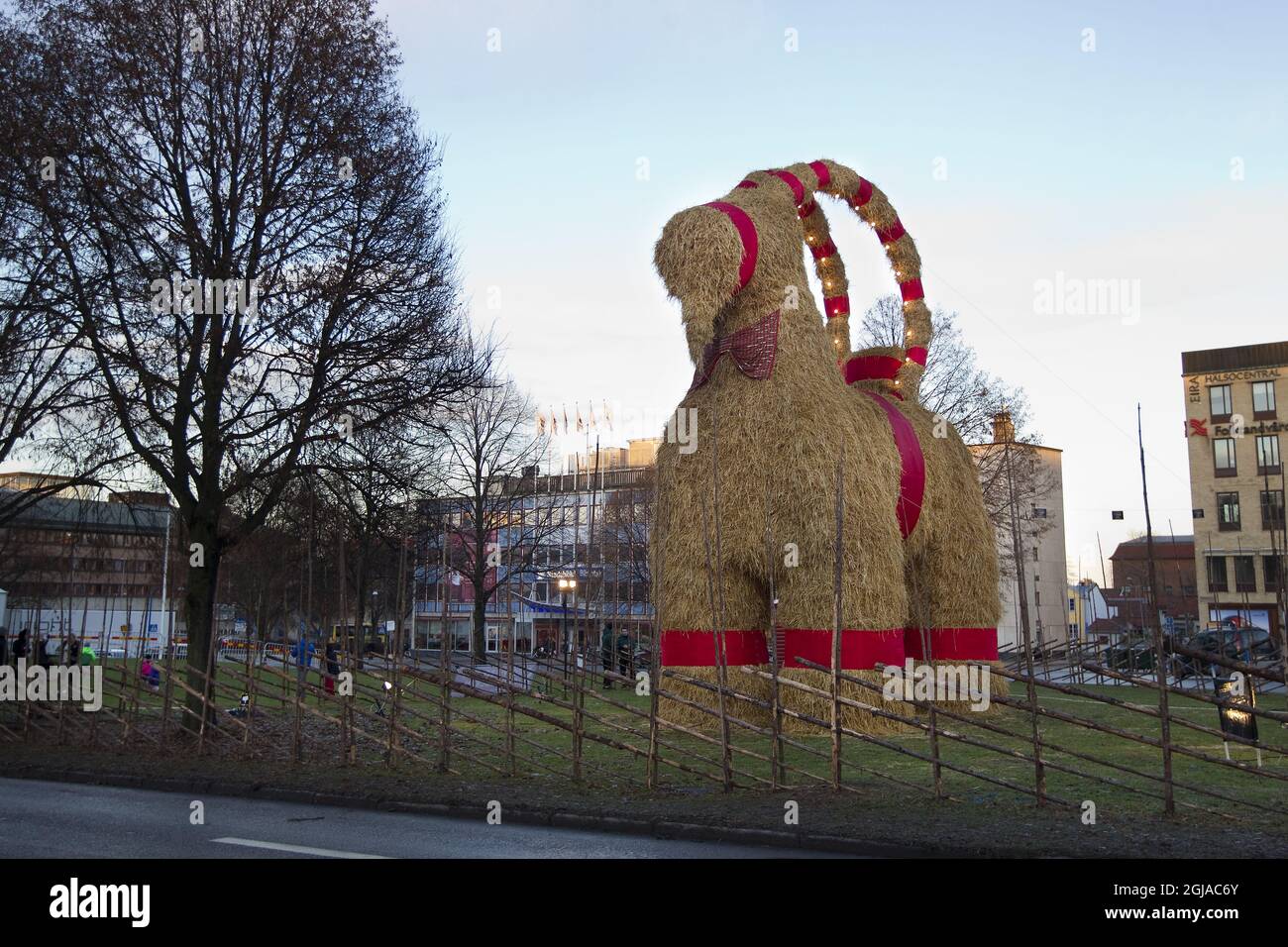 GAVLE 20161127 The Christmas goat in the city of Gavle during the ...