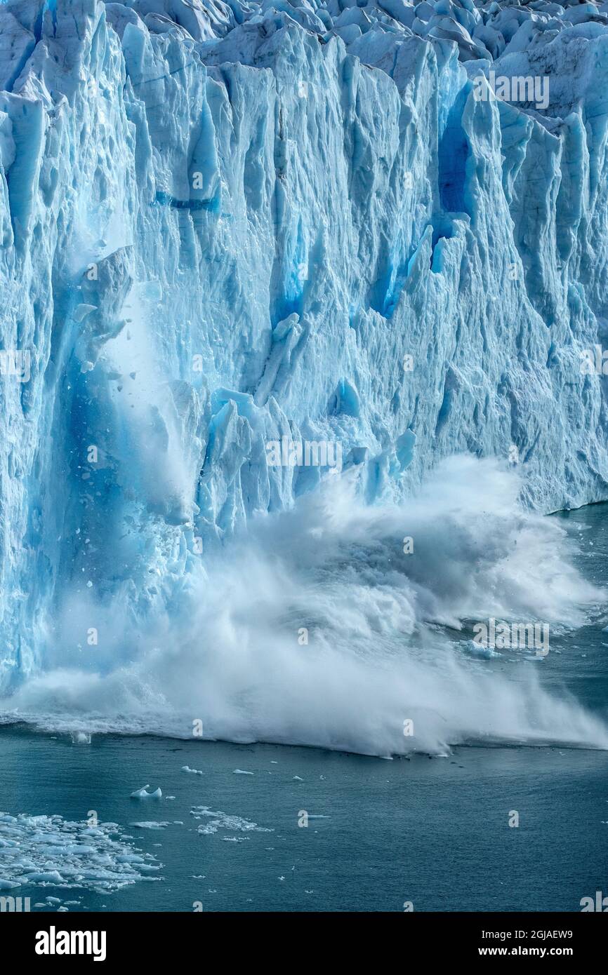 South America, Argentina, Patagonia, El Calafate. Calving glacial ice ...