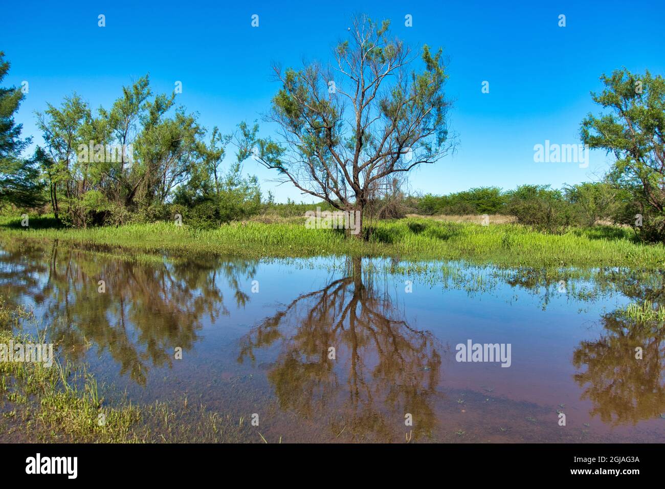 Argentina, Entre Rios, Uruguay river Stock Photo - Alamy
