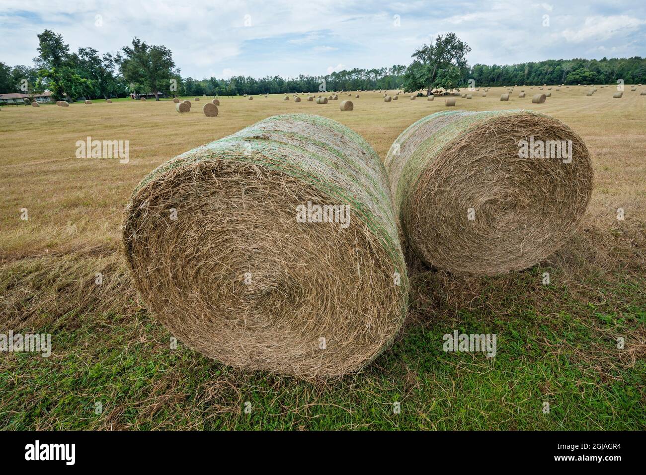 Round rolls hi-res stock photography and images - Alamy