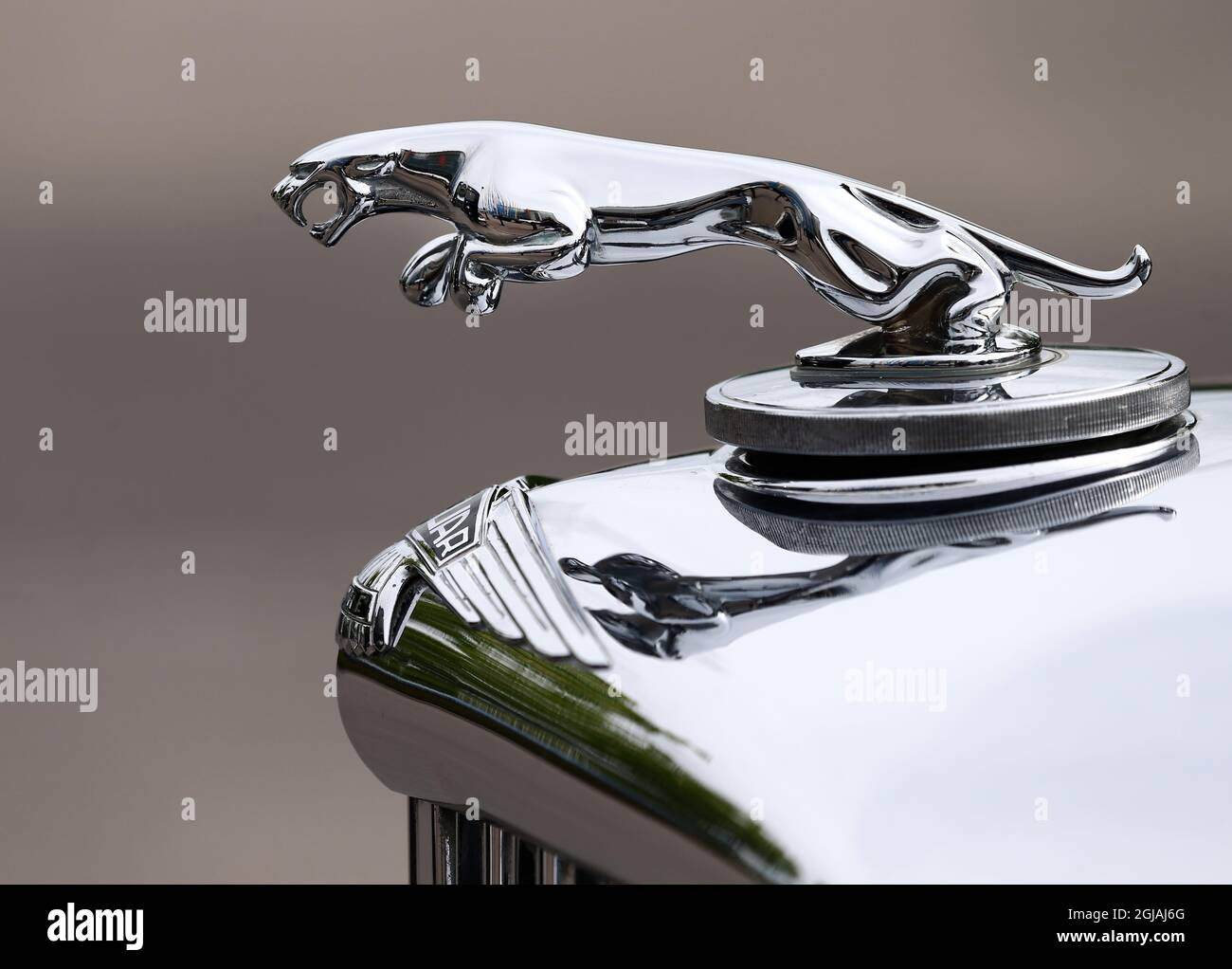 A mascot on the hood of a Jaguar car. road, traffic, cars ...