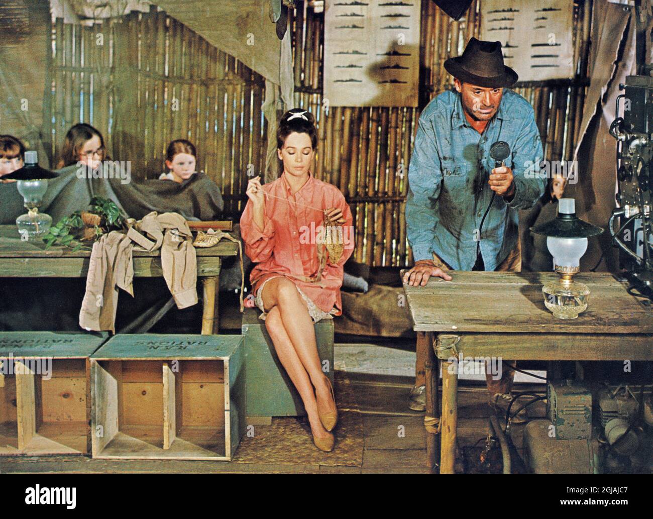 Leslie Caron Father Goose