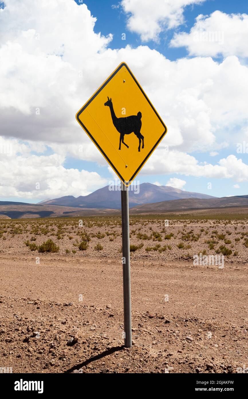 Llama warning sign hi-res stock photography and images - Alamy