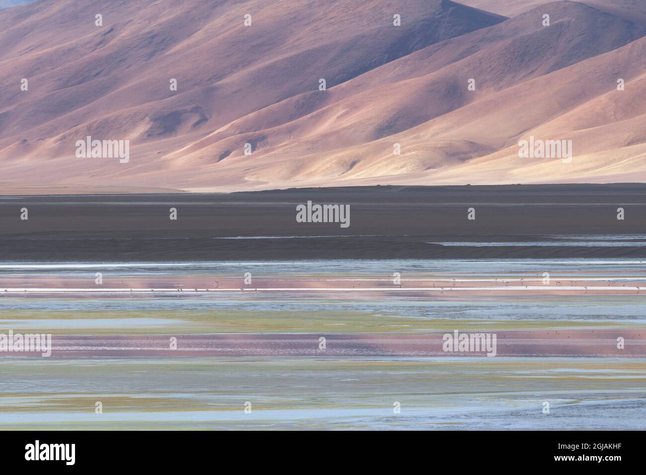 Chile, Atacama Desert, Los Flamencos National Reserve. A view of the ...