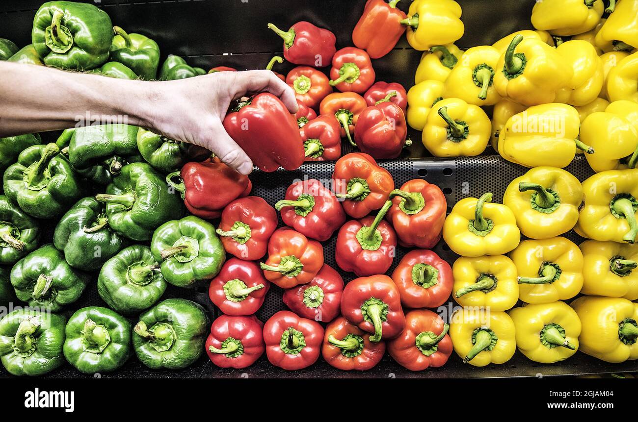 pepper Bell pepper colors Foto: Tomas Oneborg / SvD / TT / Kod: 30142 ...