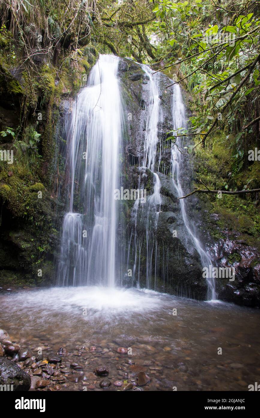 Ecuador, Cayambe region. Kuchikama Waterfall Stock Photo - Alamy