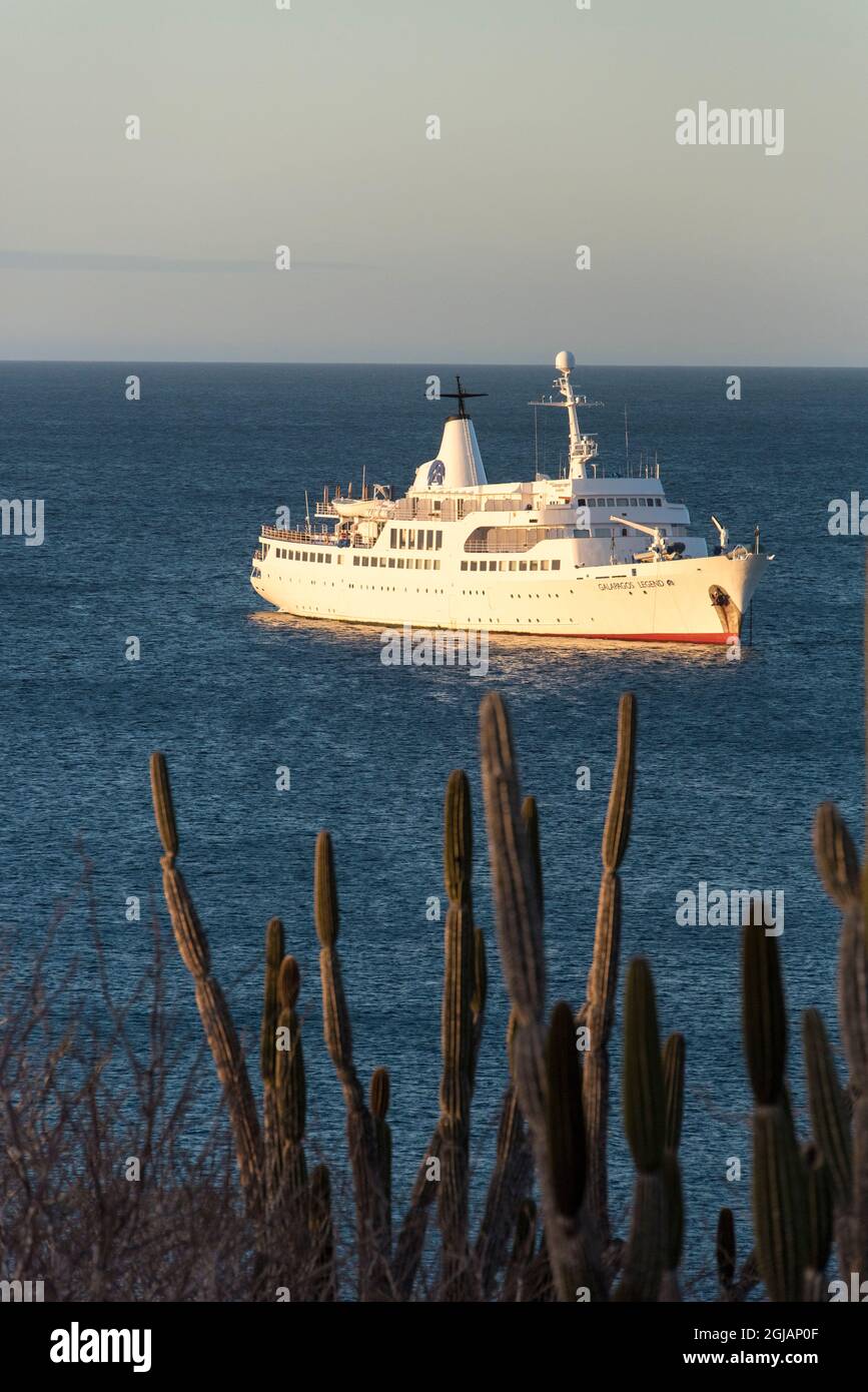 Ecuador, Galapagos. Late light on cruise ship. Cactus San Cristobal ...