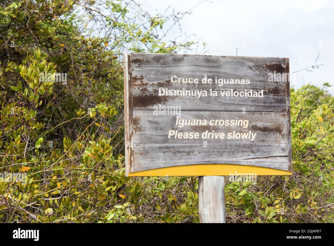 Ecuador, Galapagos Islands. Wildlife protection sign outside Iguana ...