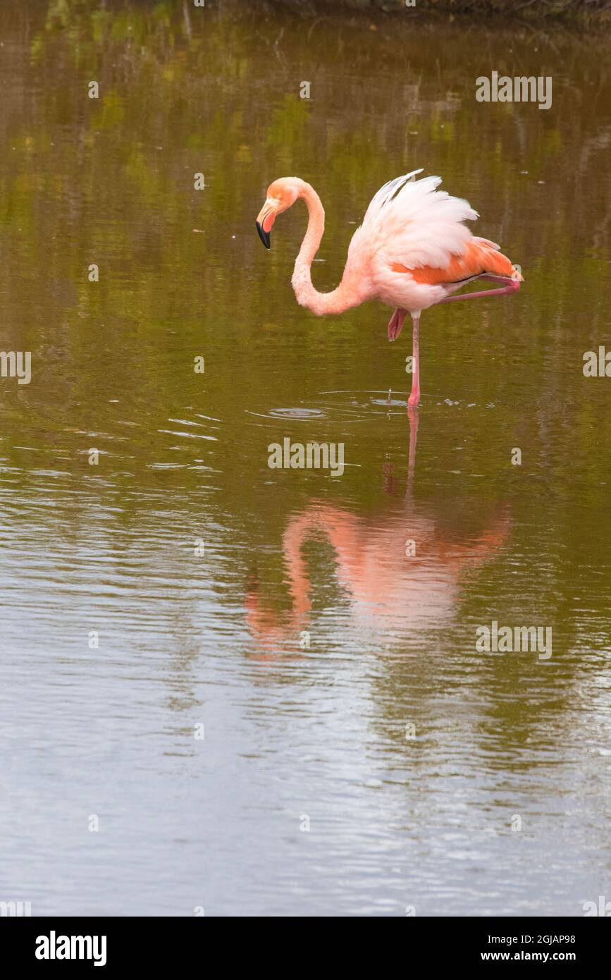 Villamil lagoon hi-res stock photography and images - Alamy