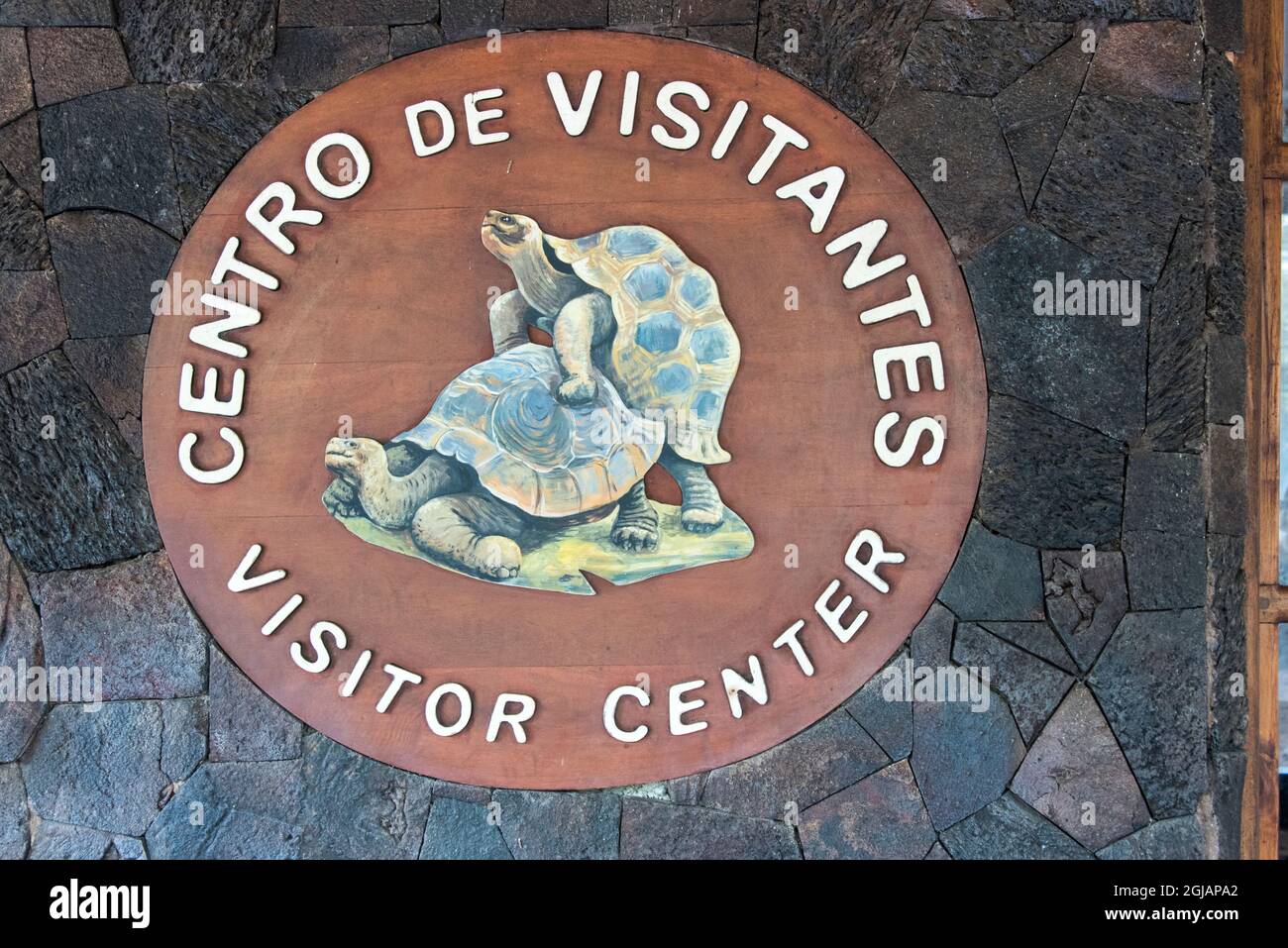 Ecuador, Galapagos Islands. Galapagos tortoise at Tortoise Breeding ...