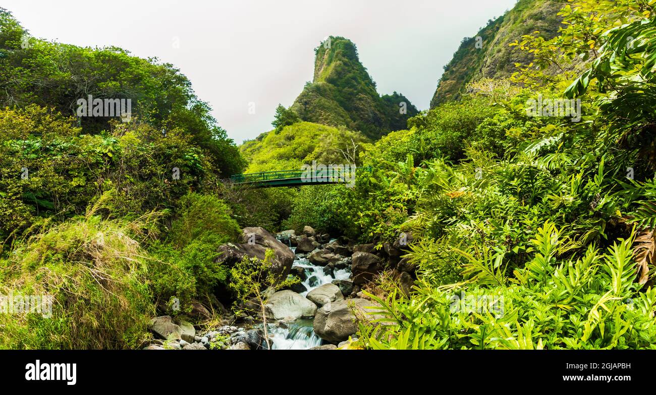 The Lush Slopes of The Ioa Needle and Ioa Stream, Ioa Needle Valley ...