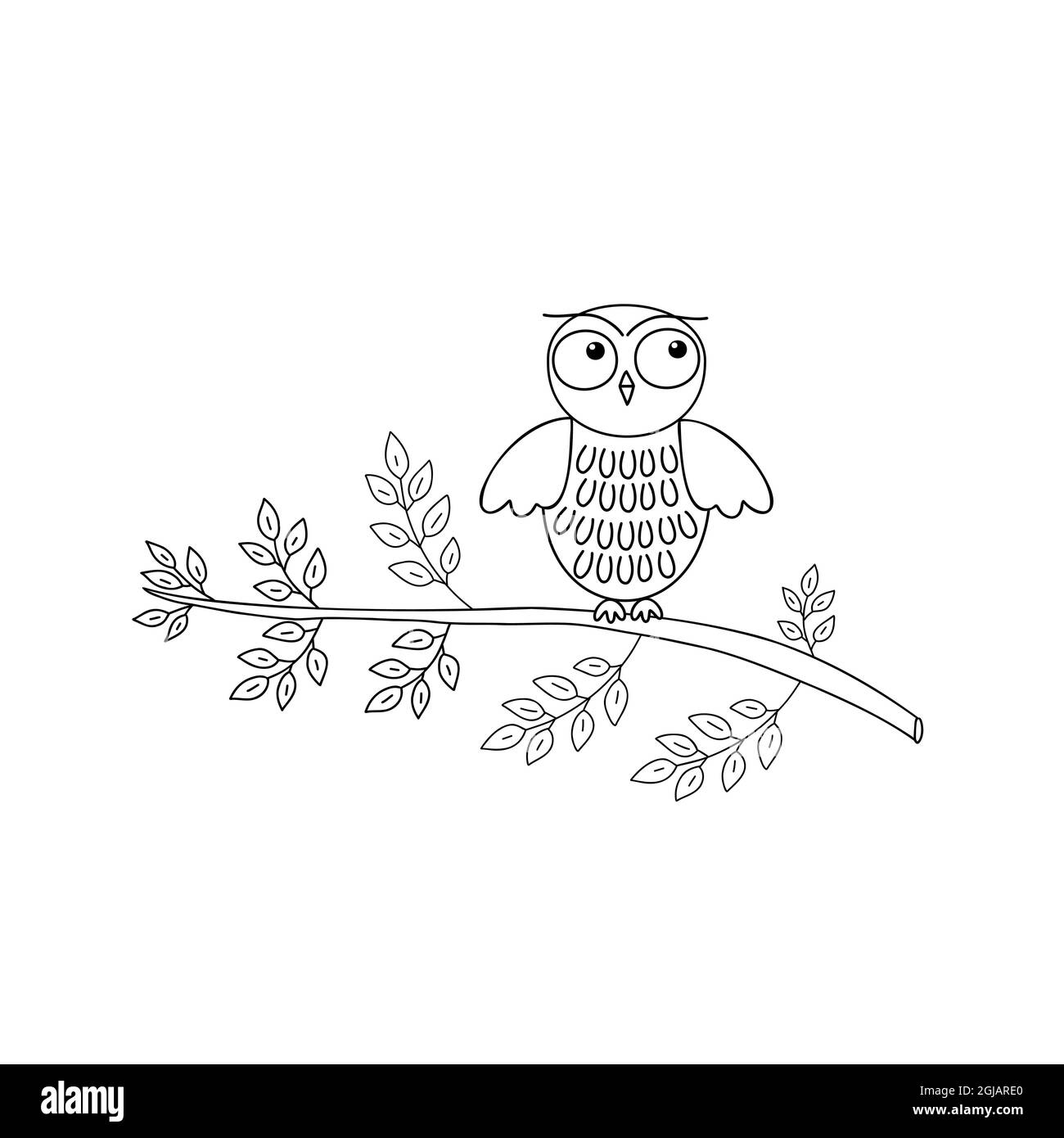 Simple Owl Outline Black And White