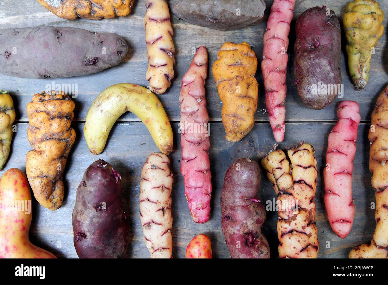 potatos in Lima Peru Stock Photo - Alamy