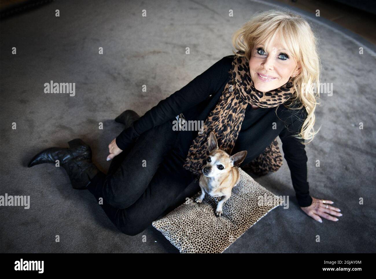 Britt ekland sweden actress hi-res stock photography and images - Alamy