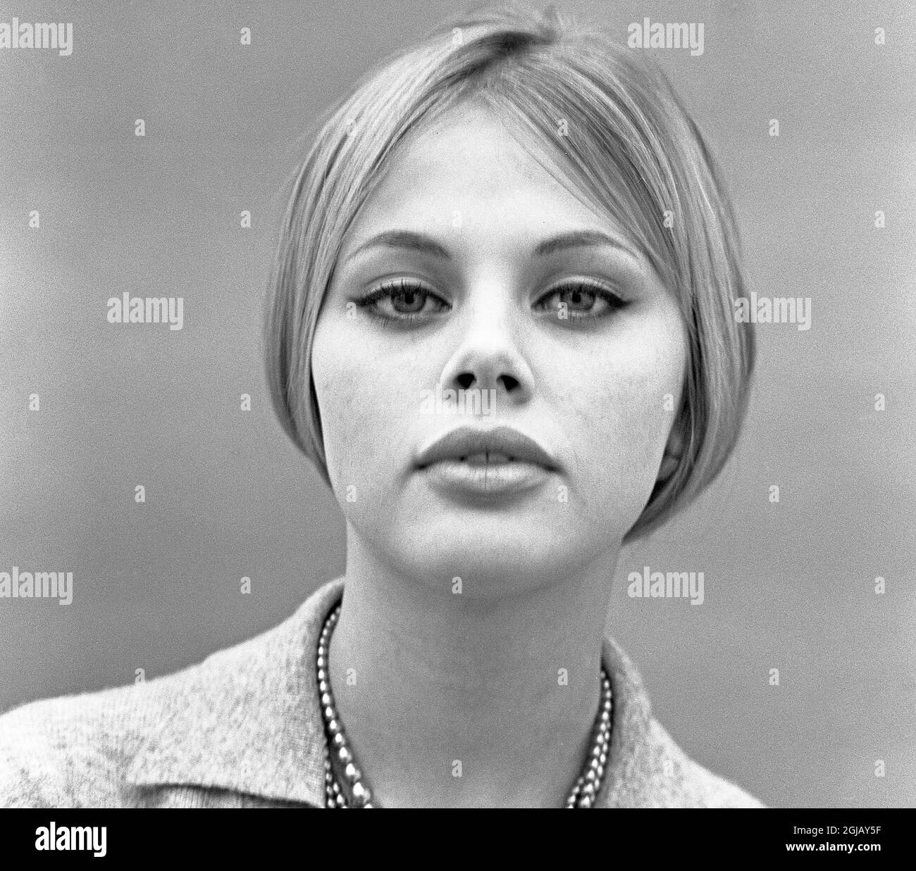 Kary lasch hi-res stock photography and images - Alamy