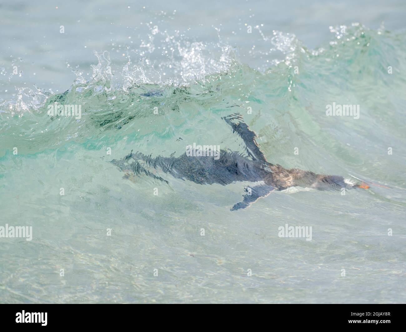 Through the wave hi-res stock photography and images - Alamy