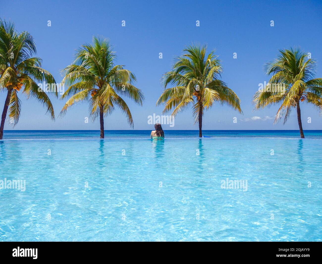Caribbean, Honduras, Roatan. Tourist in an infinity pool surrounded by ...