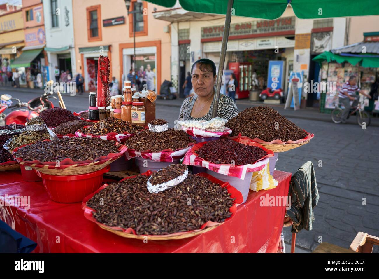 Fried cricket mexico hi-res stock photography and images - Alamy