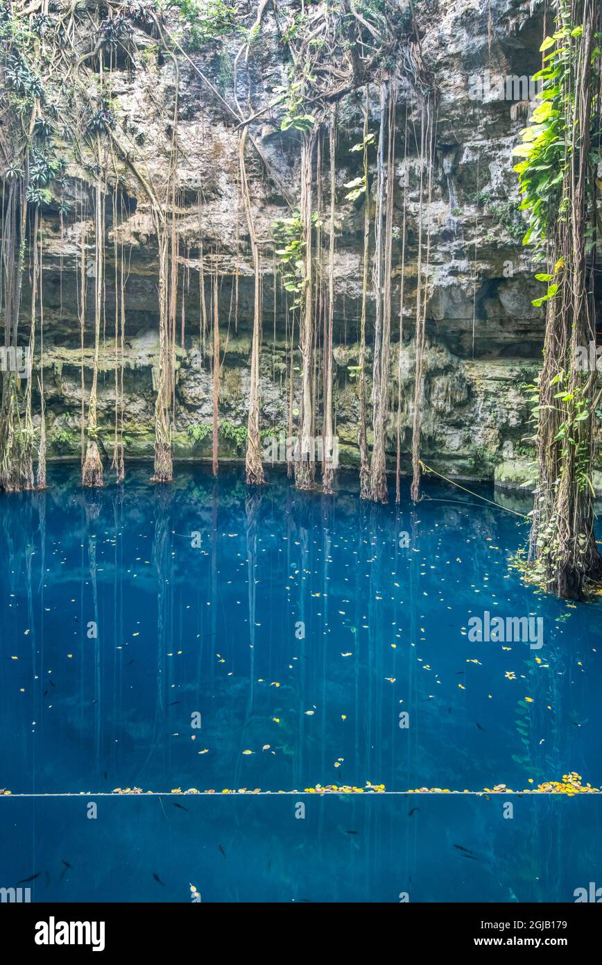 Mexico, Valladolid. Oxman Cenote Stock Photo - Alamy