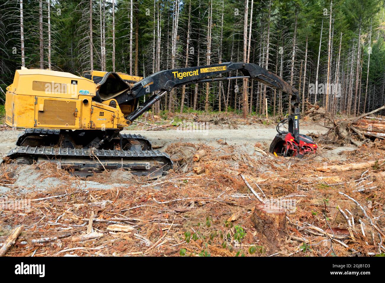 Logging and cutting of trees On Vancouver Island British Columbia ...