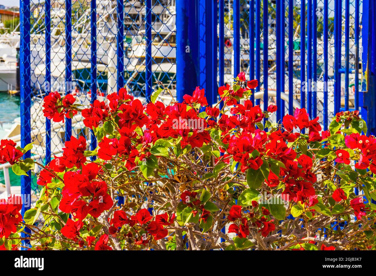 Colorful Cabo San Lucas, Mexico Stock Photo - Alamy