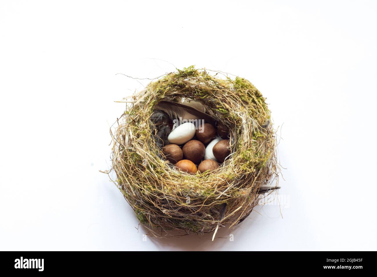 real bird's nest and fake eggs. Selective Focus Nest. White Background ...