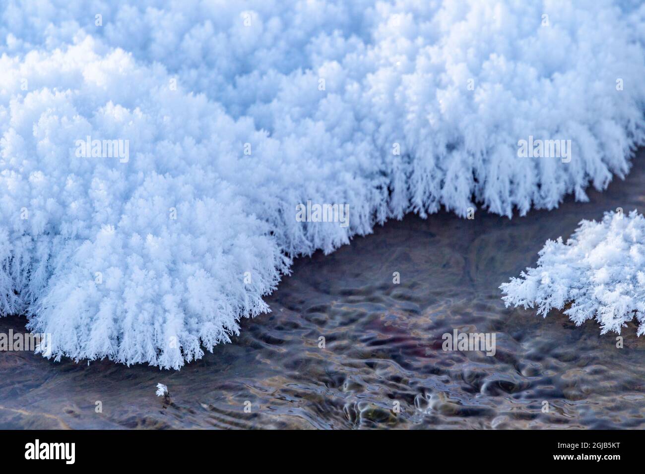 USA, Alaska. Close-up of frosted stream rocks Stock Photo - Alamy