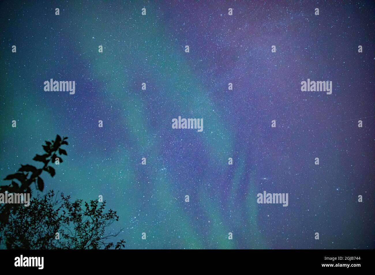 Fairbanks, Alaska, boreas aurealis, Northern Lights Stock Photo - Alamy